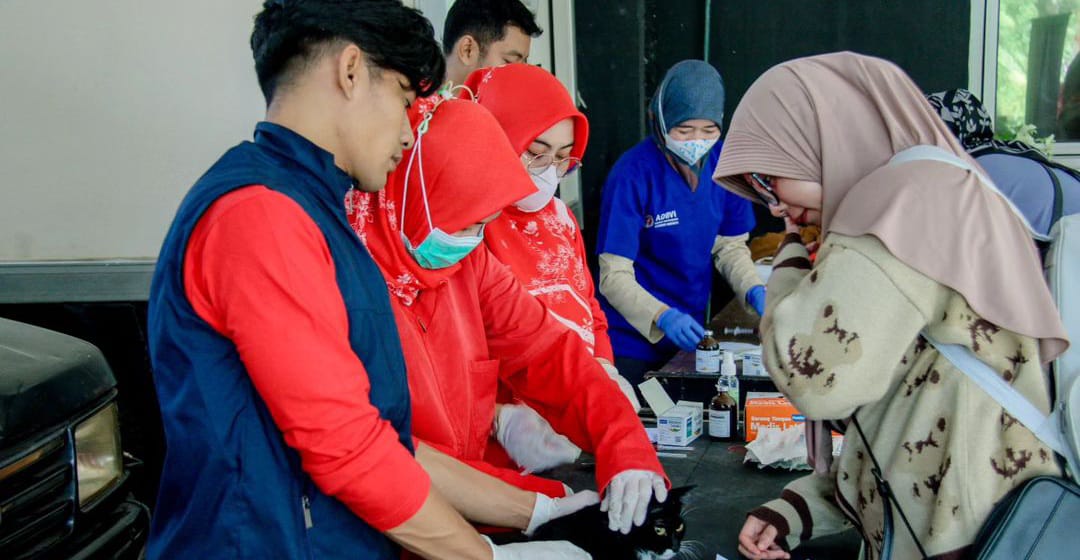 Cegah Penyakit Rabies, Purwakarta Vaksinasi Ribuan Kucing, Anjing ...